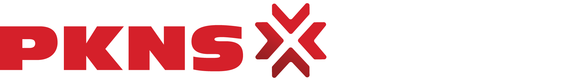 PKNS Pilih - Property in Selangor